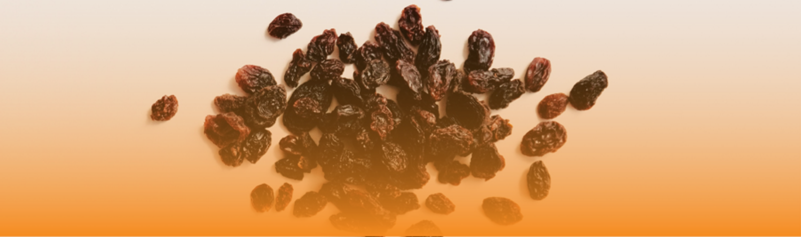 Dancing raisins - musical fruit fun | Activities | Village of Learning ...