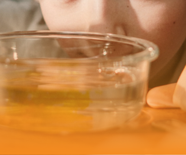 Sock puppets – create your own puppet show | Activities | Village of ...